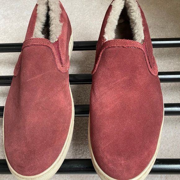 Cougar | Shoes | Cougar Women Fawnsuede Sneakers New Nwob | Poshmark